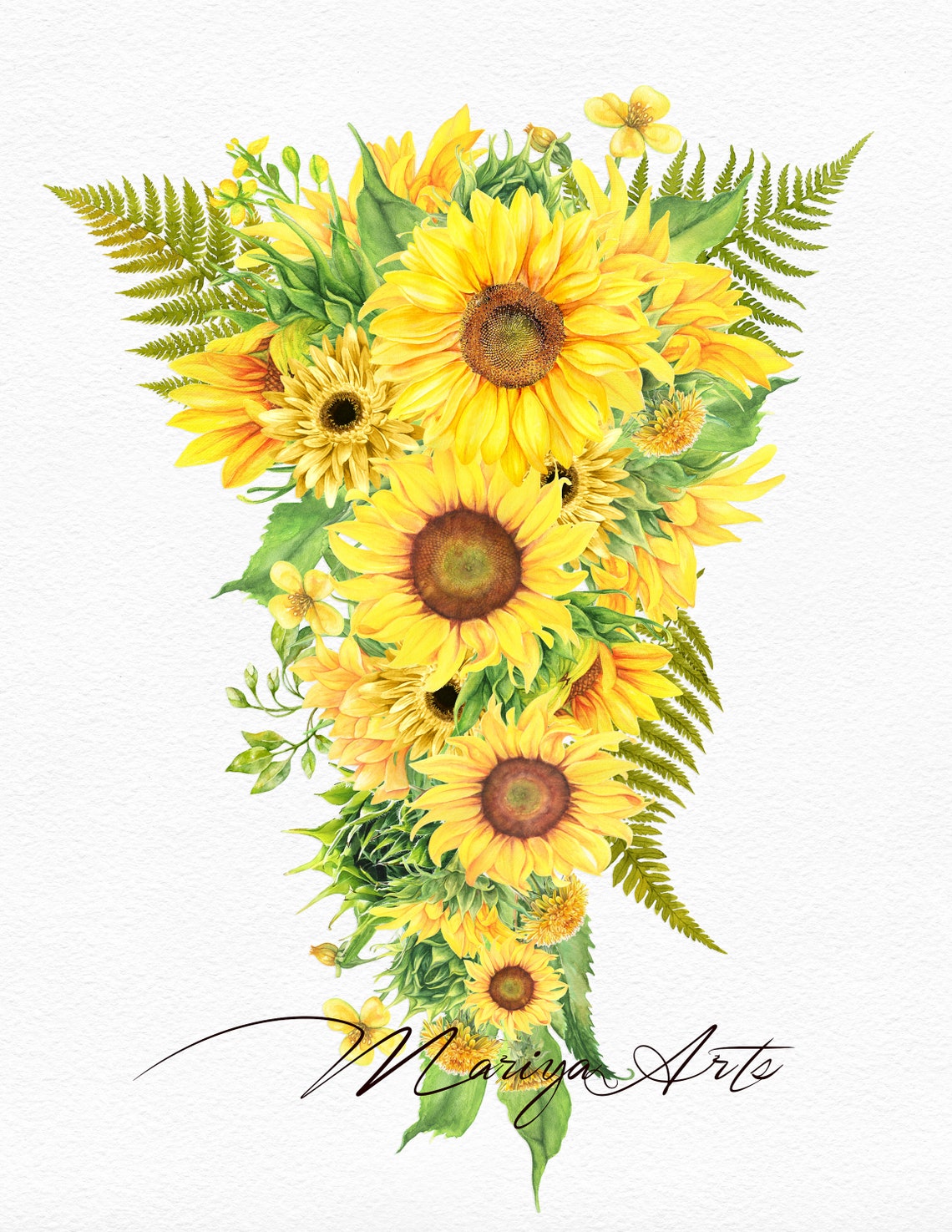 Watercolor Sunflowers Bouquet Clipart PNG Meadow Wild Flowers - Etsy