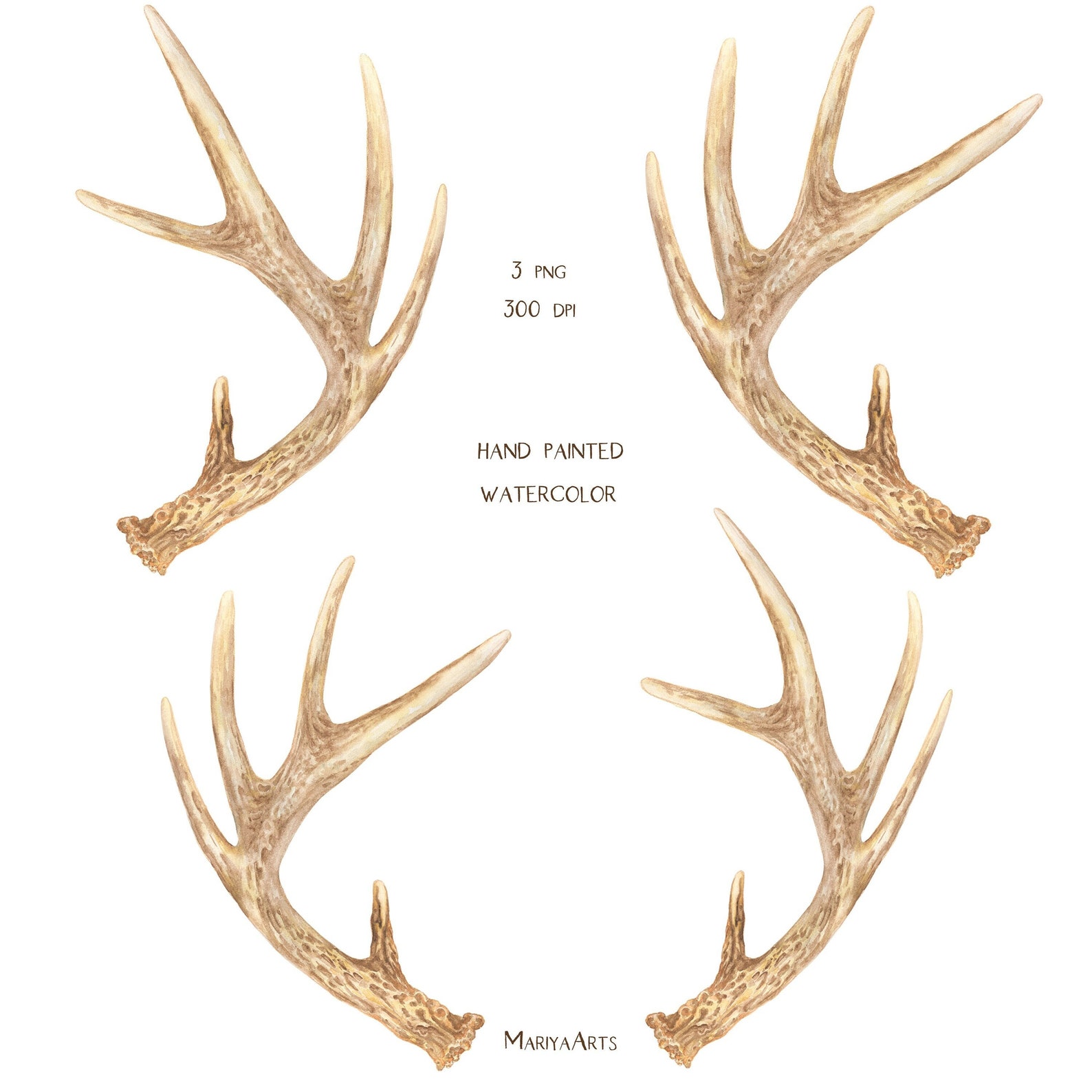 Watercolor Antler Clipart Deer PNG Bohemian Boho Horns Clip Art High ...