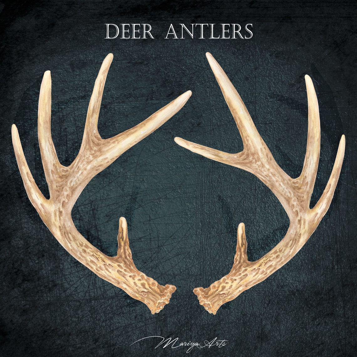 Watercolor Antler Clipart Deer PNG Bohemian Boho Horns Clip Art High ...