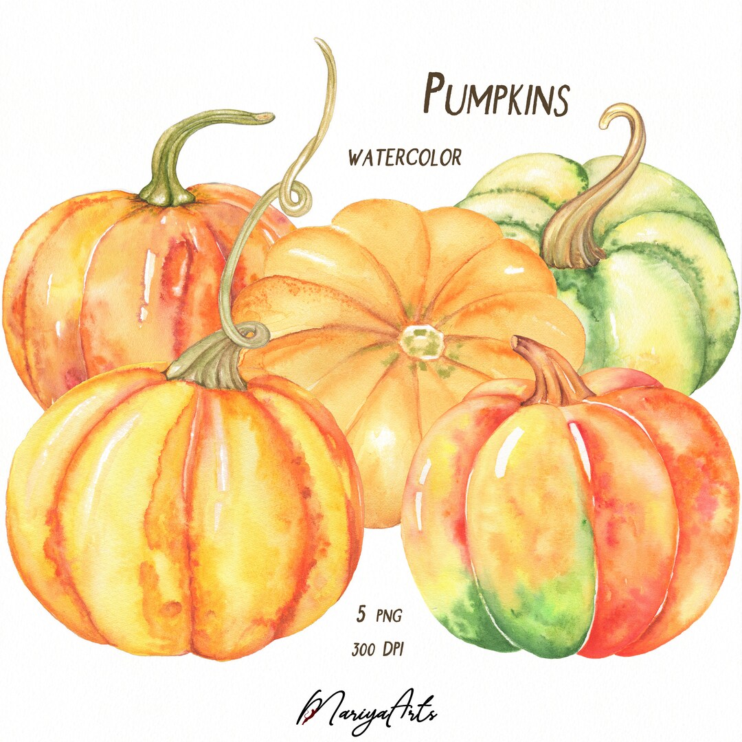 Pumpkin PNG Watercolor Clipart, Orange Pumpkins, White Pumpkins ...