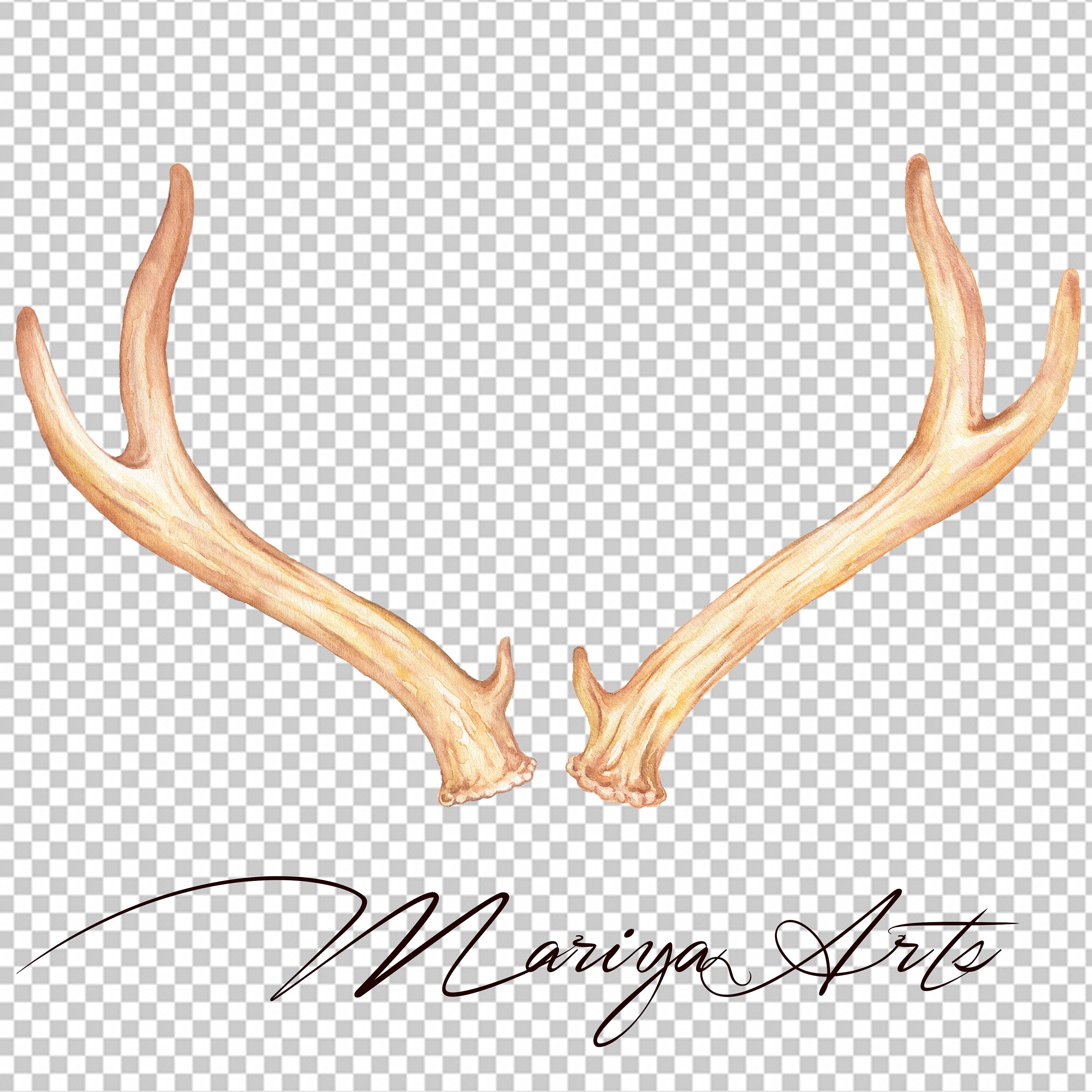 Watercolor Deer Antler Clipart PNG Horns Clip Art High-quality Hand ...
