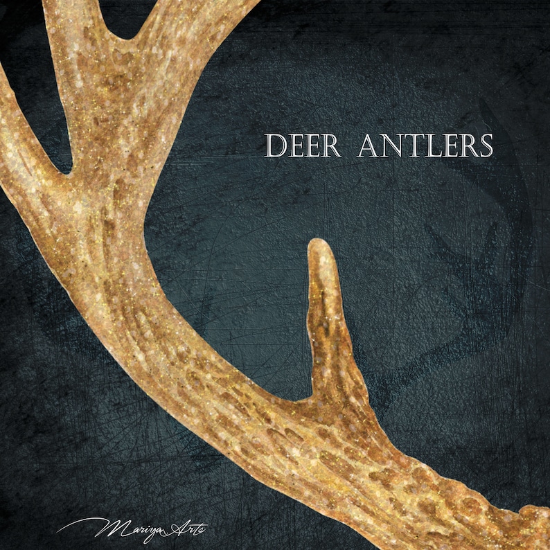Gold Antlers Watercolor Clipart Deer Antler PNG Bohemian Boho Horn ...