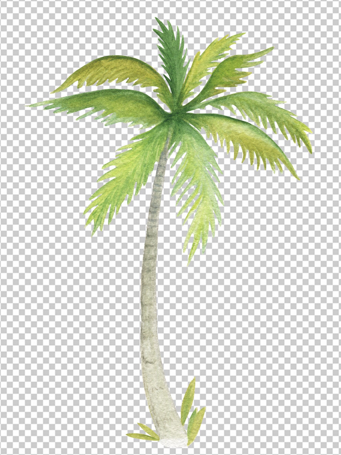 Palm Tree Clipart Watercolor Clip Art Double Palm Tree Summer - Etsy