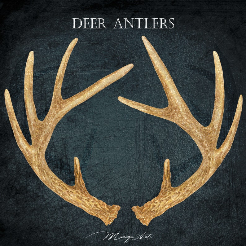 Gold Antlers Watercolor Clipart Deer Antler PNG Bohemian Boho Horn ...