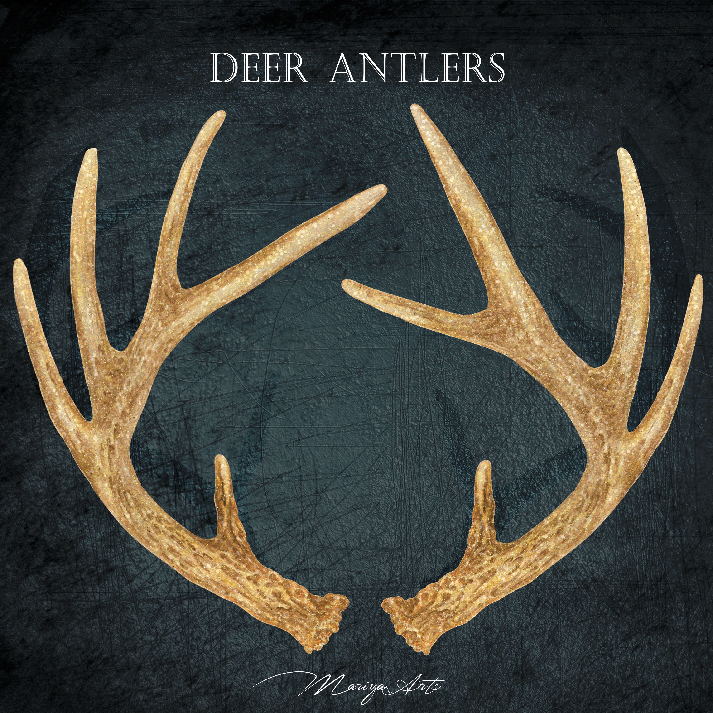 Gold Antlers Watercolor Clipart Deer Antler PNG Bohemian Boho Horn ...