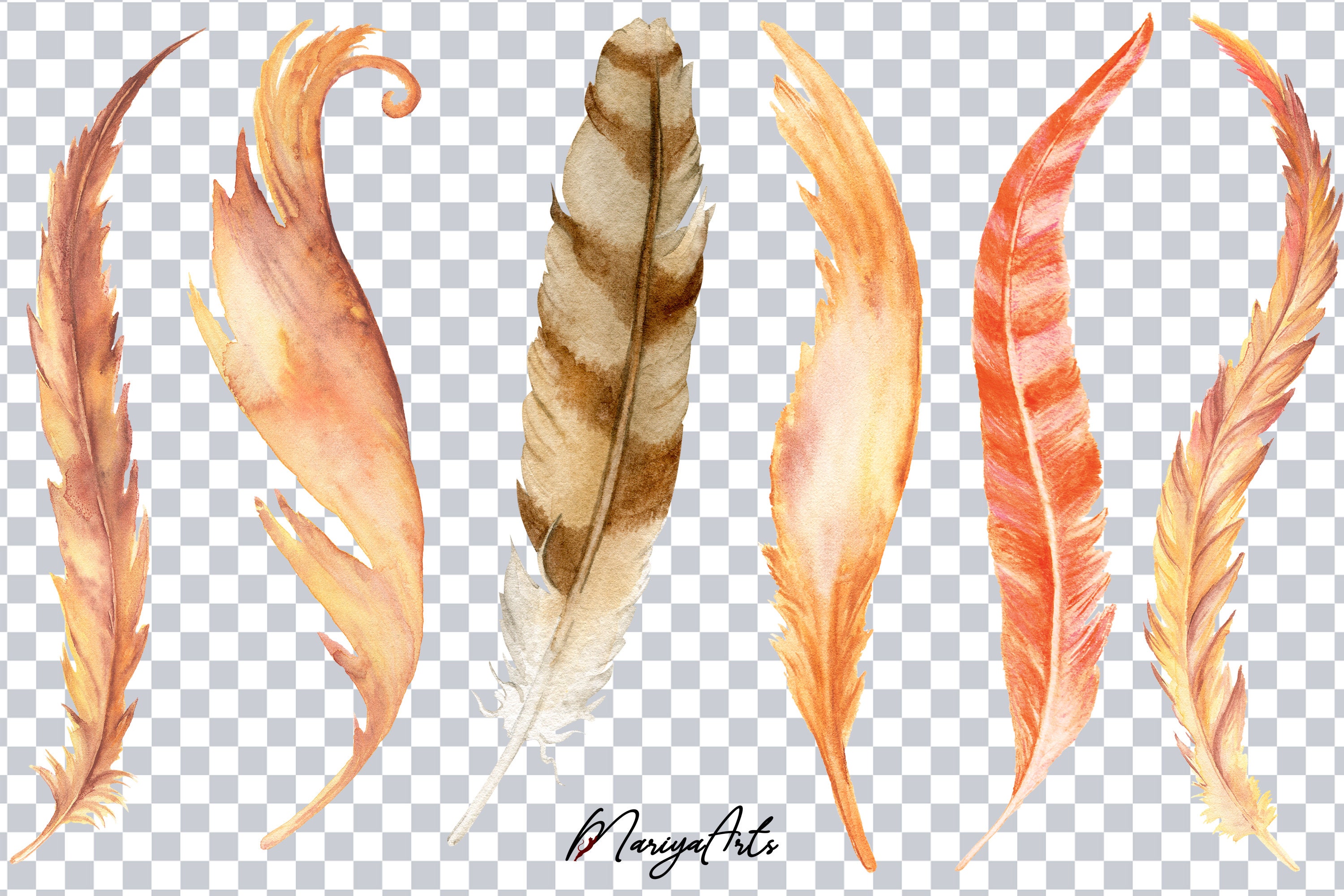 Feather Set Watercolor Clipart PNG Feathers Hand Painted Drawn - Etsy