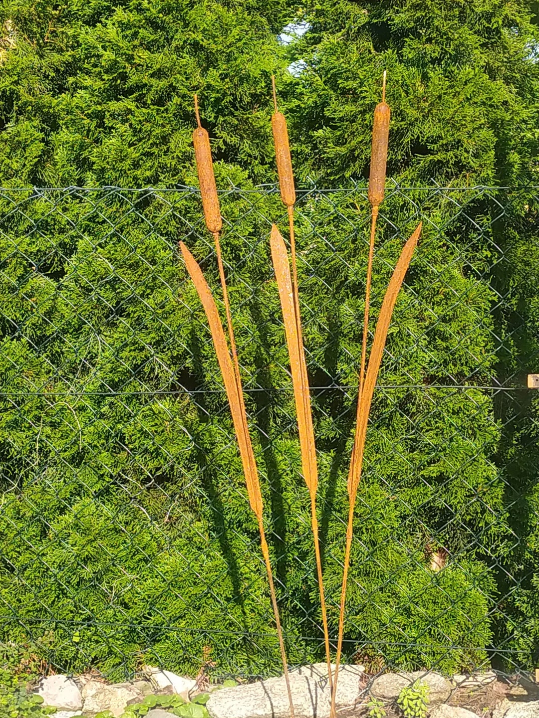 3x145cm Decorative Metal CATTAILS Garden Sculpture 3D XXL Natural Rusty ...