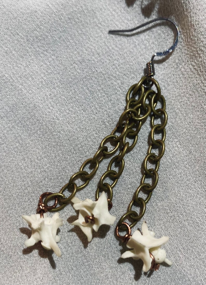 Snake Vertebrae Chain Drop Earring Sustainable Animal Bone - Etsy