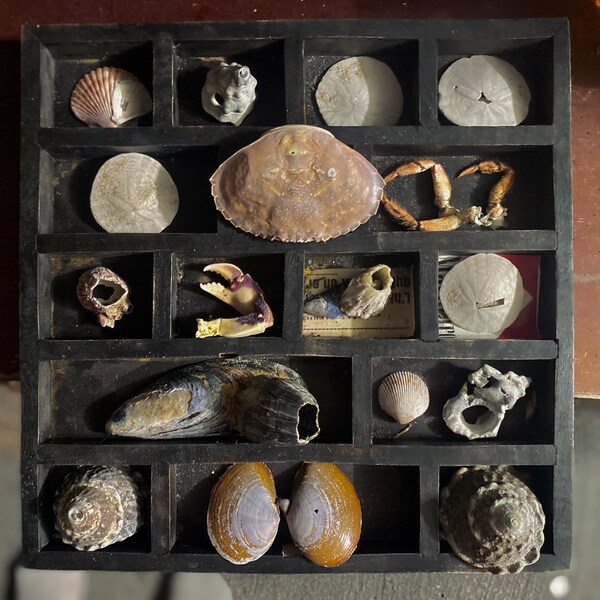 Mermaidcore Mystery Box - Etsy