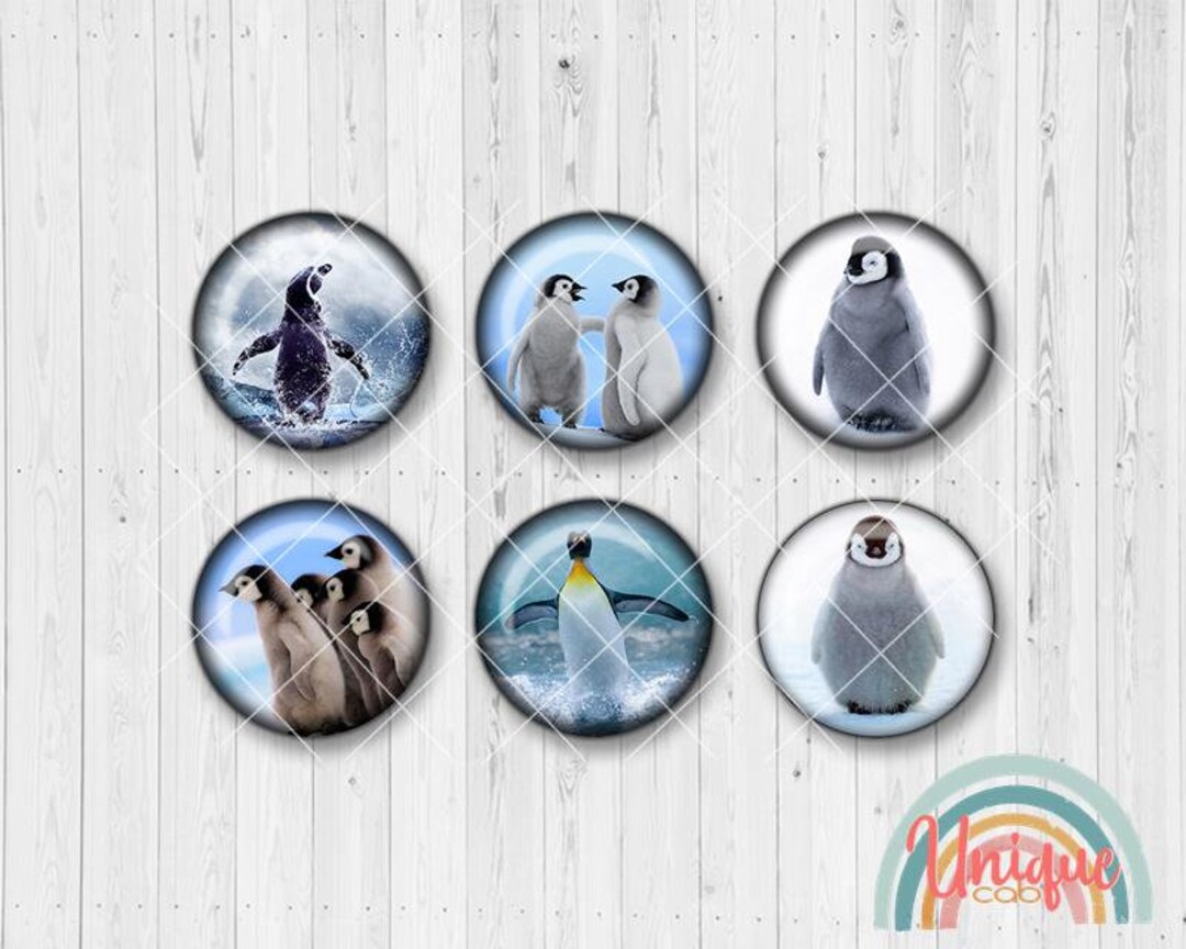 Glass Cabochons Penguin Sea Soft Baby - 8 10 12 14 16 18 20 25 Mm ...