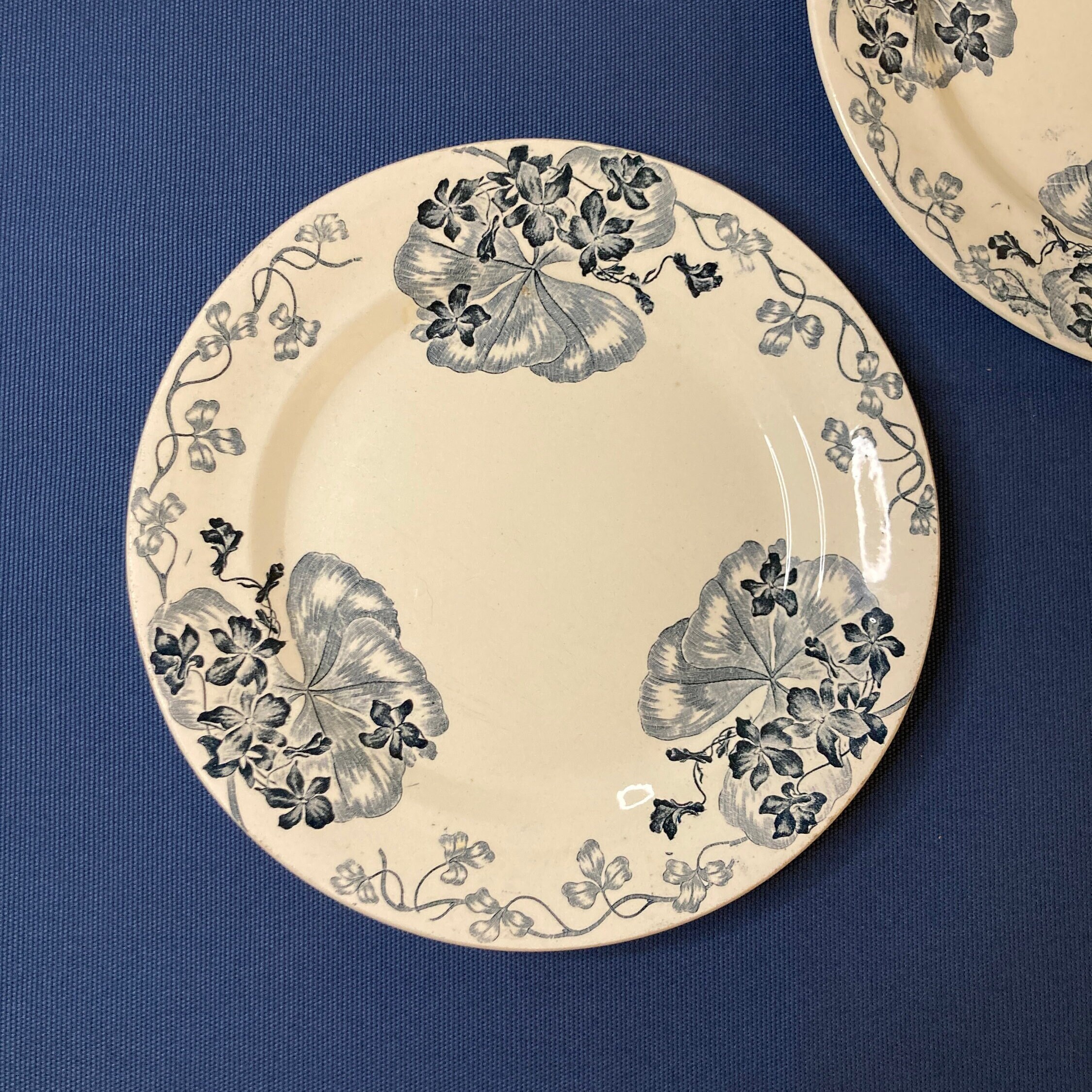 Old Dish Salins Les Violettes / Old Dishes / Old Plates Terre - Etsy