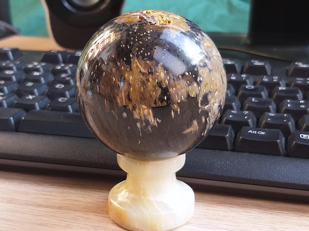 Fossil Palm Roots Sphere Natural Collectable Mineral Handmade Stone ...