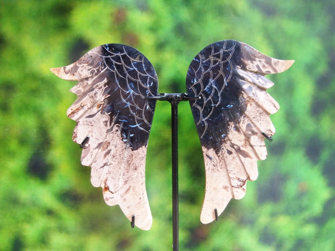 Rare Fossil Palm Roots Angel Wings: Petrified Wood Jasper Chalcedony ...