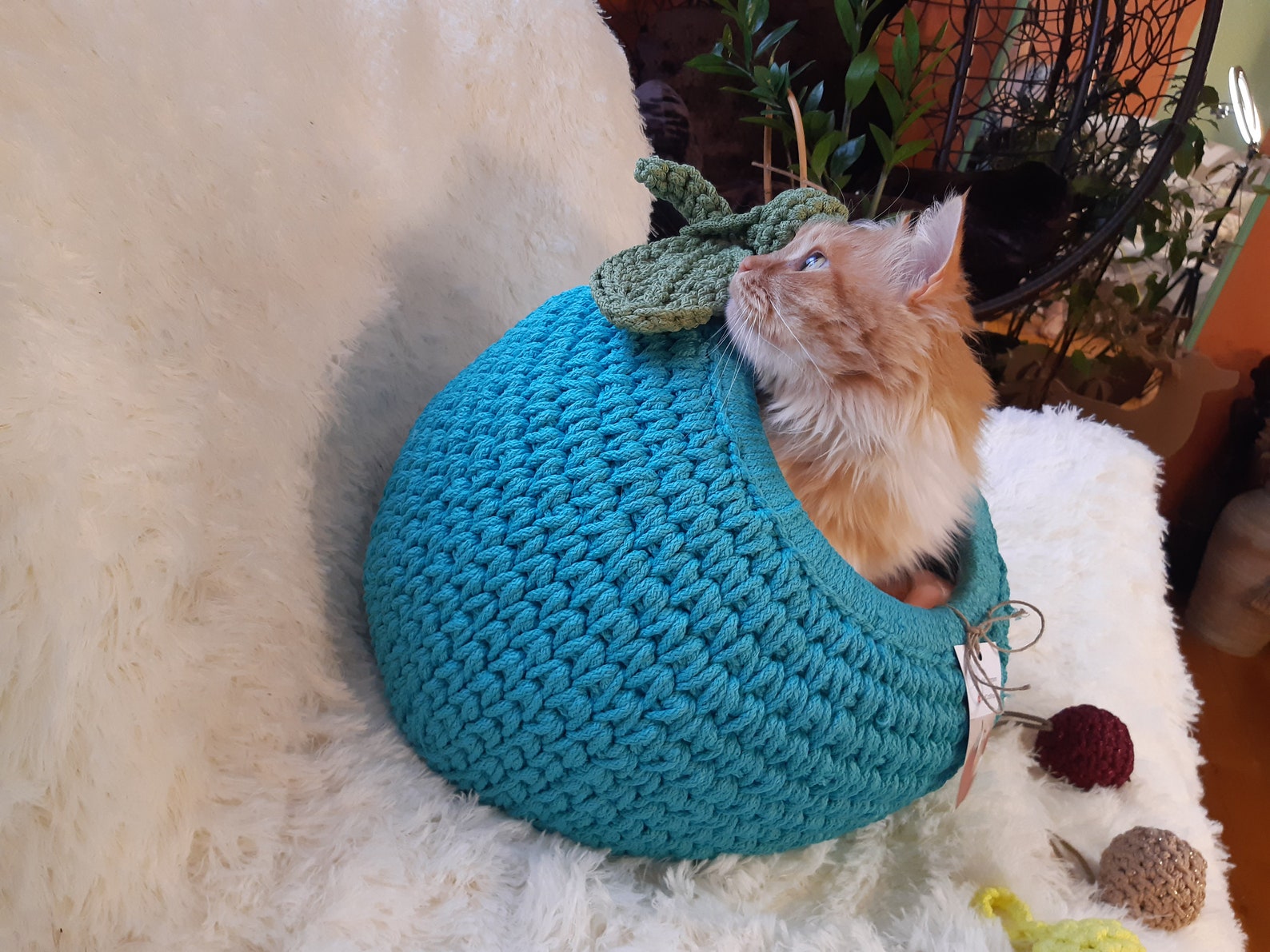 Crochet Cat House Pattern: DIY Pet Bed (PDF Pattern Eng + Fra) - Etsy
