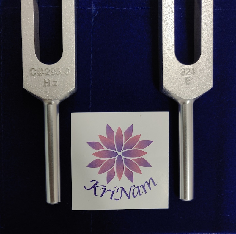Ensemble de diapasons anti-cellulite 295,80 Hz 324 Hz Outil de ...