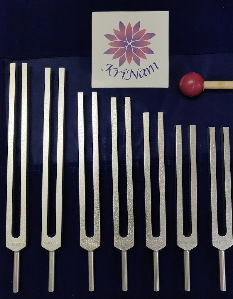 15 Pc Human Organ Tuning Forks Tuners for Sound Therapy - Etsy