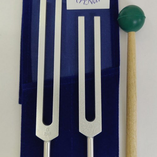 Whole Body C & G Tuning Fork Set 256 Hz and 384 Hz Sound - Etsy