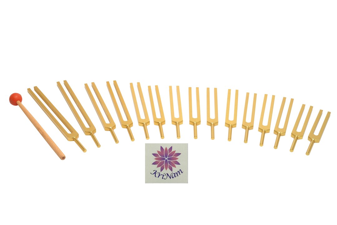 Gold Finish Human Organ Tuning Fork Set – Sound Therapy Healing Kit - Etsy
