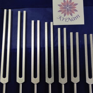 Human Organ Tuning Fork Set – 15 Pc Tuners for Sound Healing ...