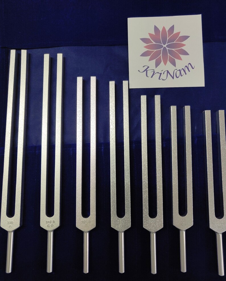 15 Pc Human Organ Tuning Forks Tuners for Sound Therapy - Etsy