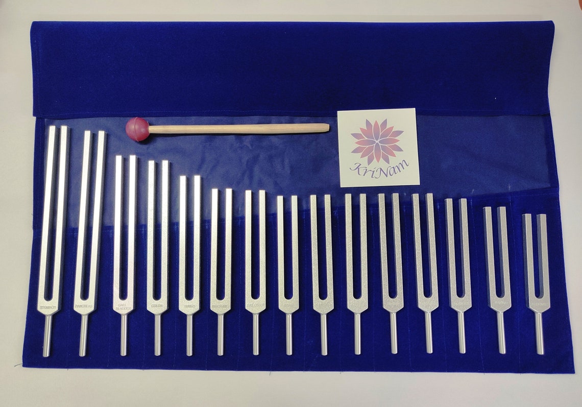 15 Pc Human Organ Tuning Forks Tuners for Sound Therapy - Etsy