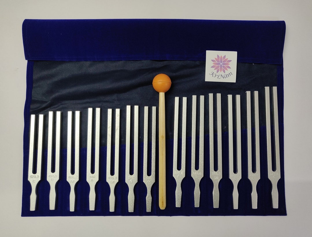 13-piece Musical Tuning Fork Set | Student Grade With Mallet & Printed ...