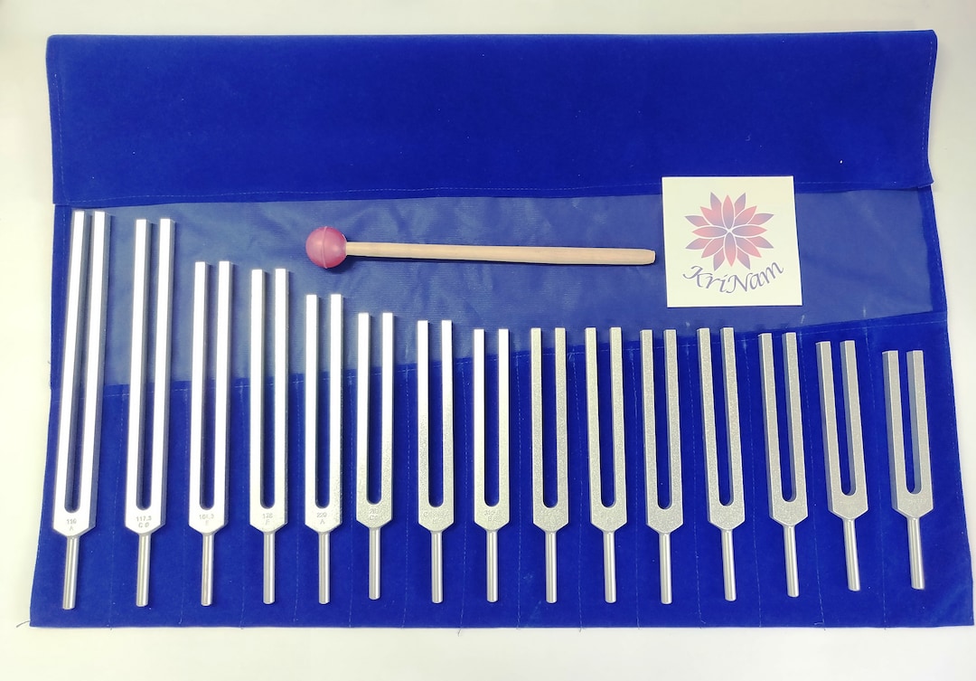 15 Pc Human Organ Tuning Forks Tuners for Sound Therapy Healing With ...