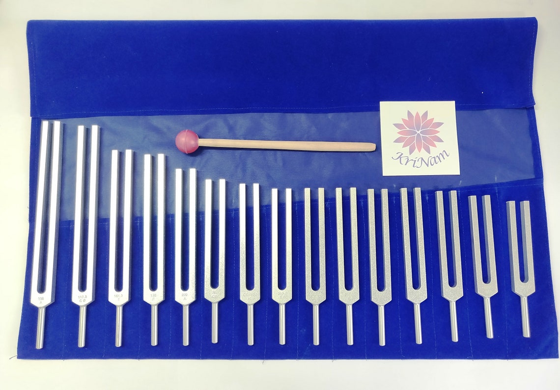 Human Organ Tuning Fork Set – 15 Pc Tuners for Sound Healing ...