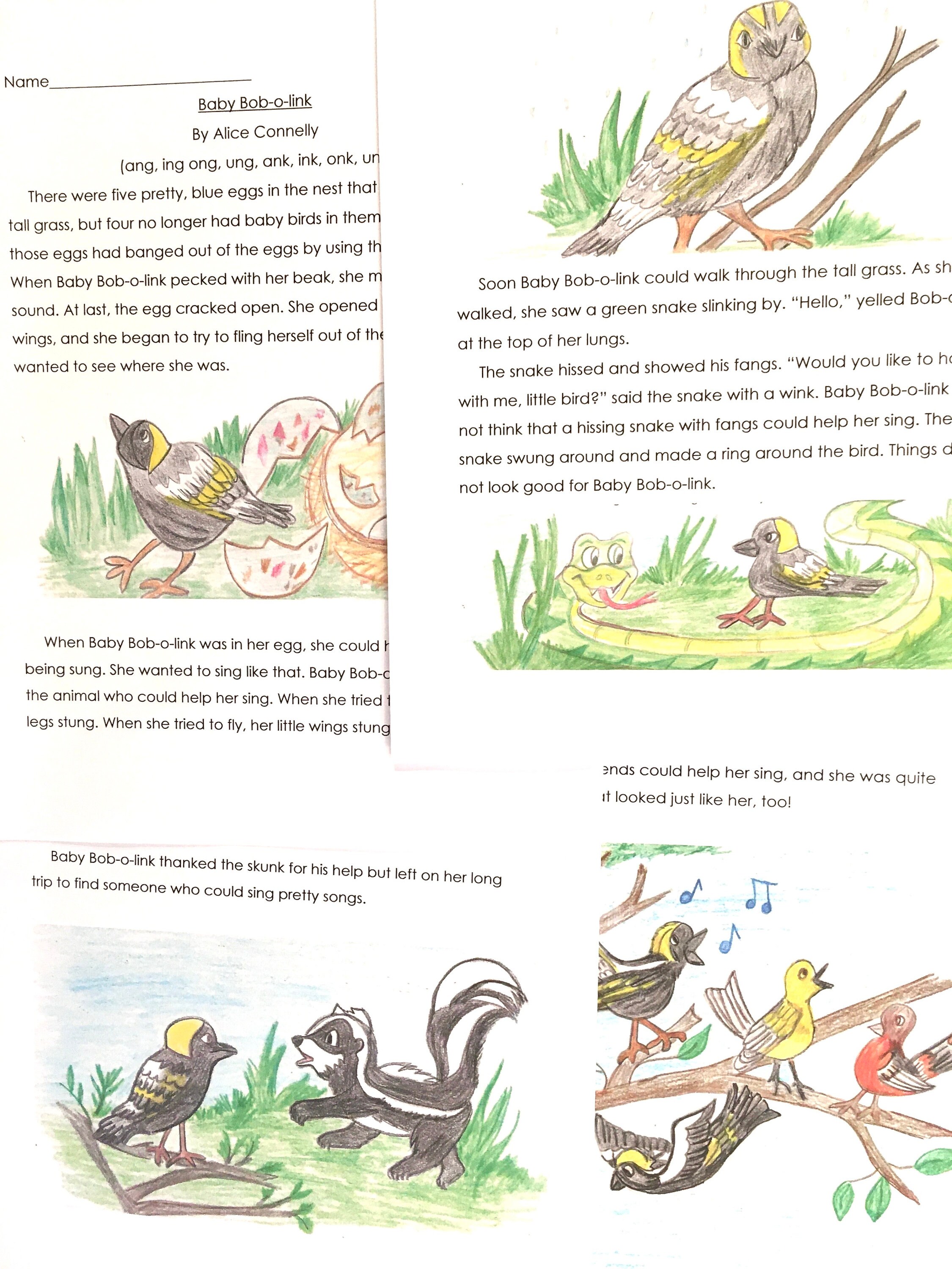 Decodable Story Bundle-ch, Tch, Ang, Ing Ong Ung Ank Ink Onk Unk With ...