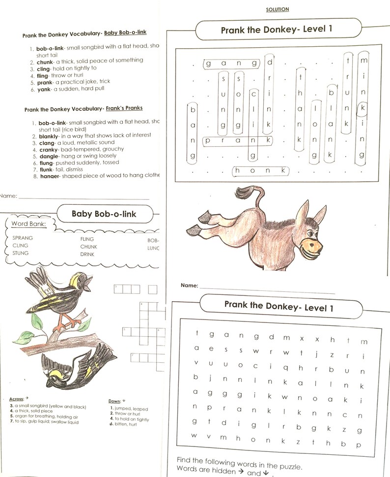 Decodable Story Bundle-ch, Tch, Ang, Ing Ong Ung Ank Ink Onk Unk With ...