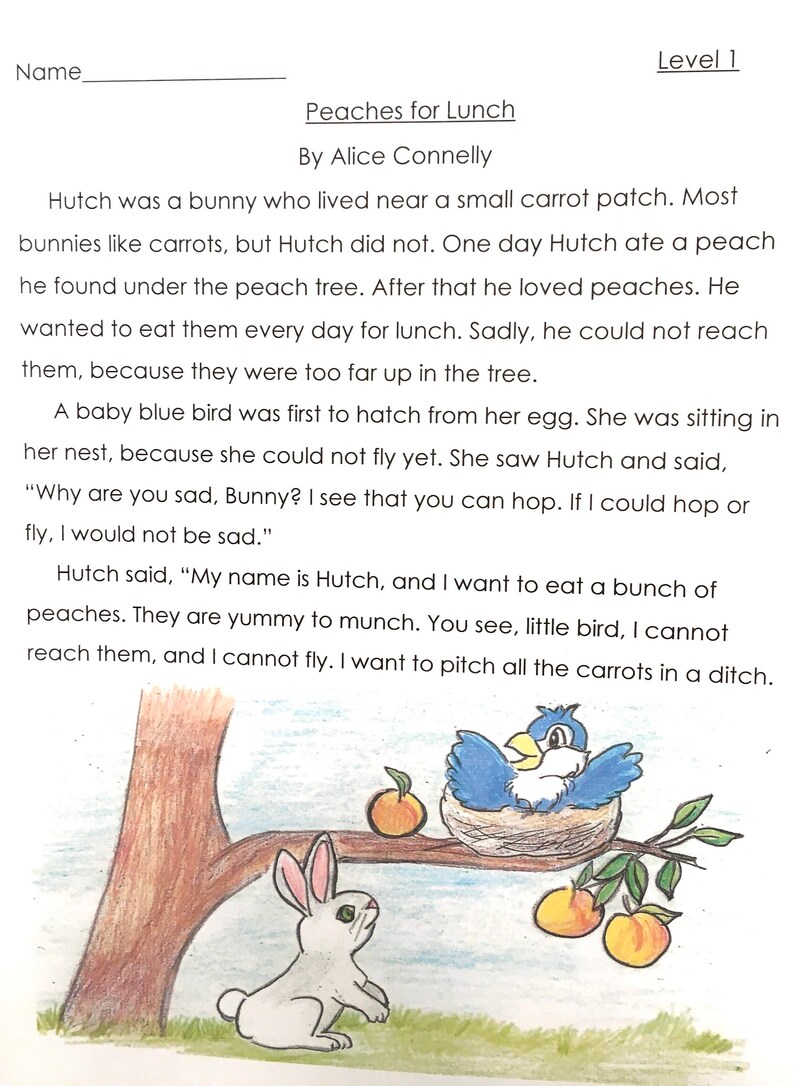 Decodable Story Bundle-ch, Tch, Ang, Ing Ong Ung Ank Ink Onk Unk With ...