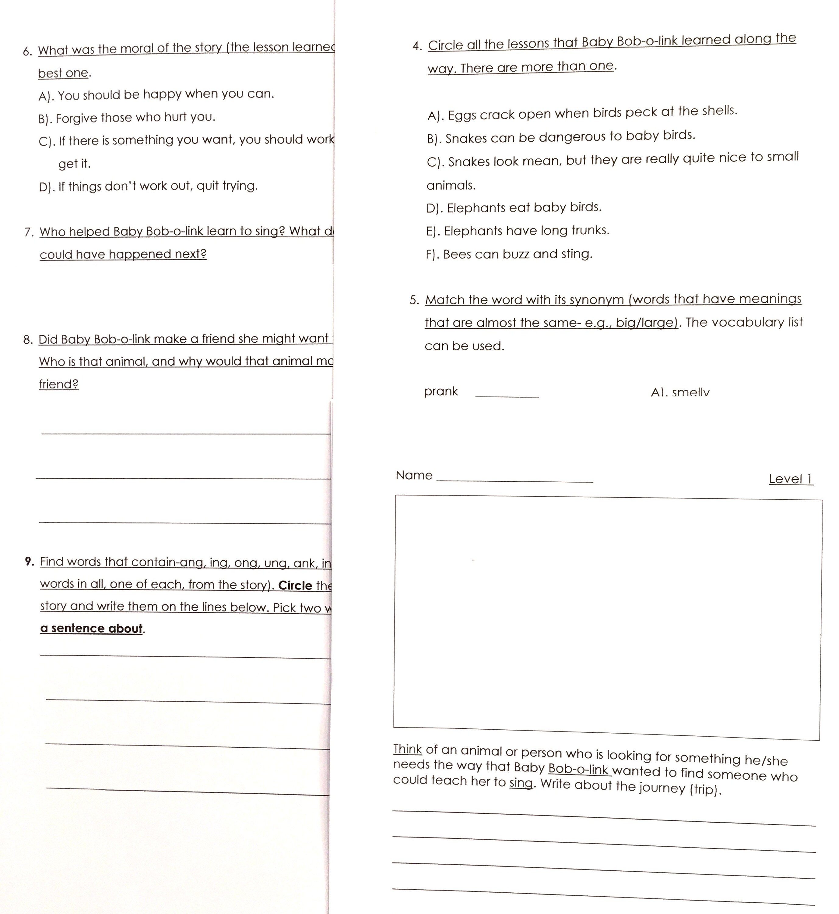 Decodable Story Bundle-ch, Tch, Ang, Ing Ong Ung Ank Ink Onk Unk With ...