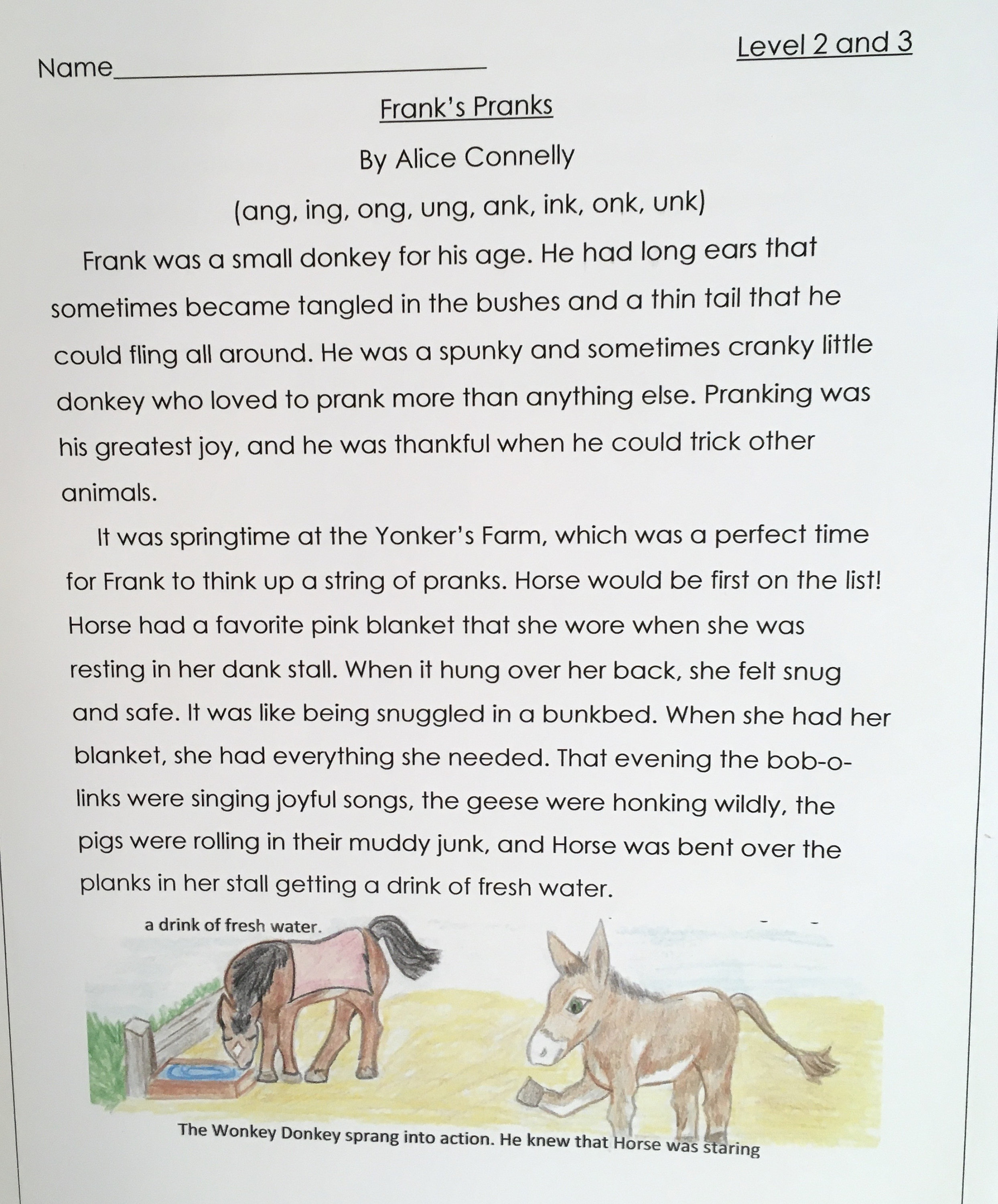 Decodable Story Bundle-ch, Tch, Ang, Ing Ong Ung Ank Ink Onk Unk With ...