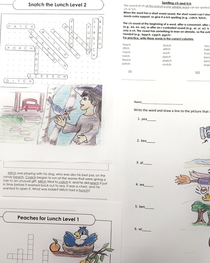 Decodable Story Bundle-ch, Tch, Ang, Ing Ong Ung Ank Ink Onk Unk With ...