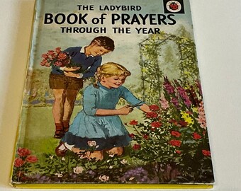 Ladybird Book How It Works..the Cat PBT - Etsy