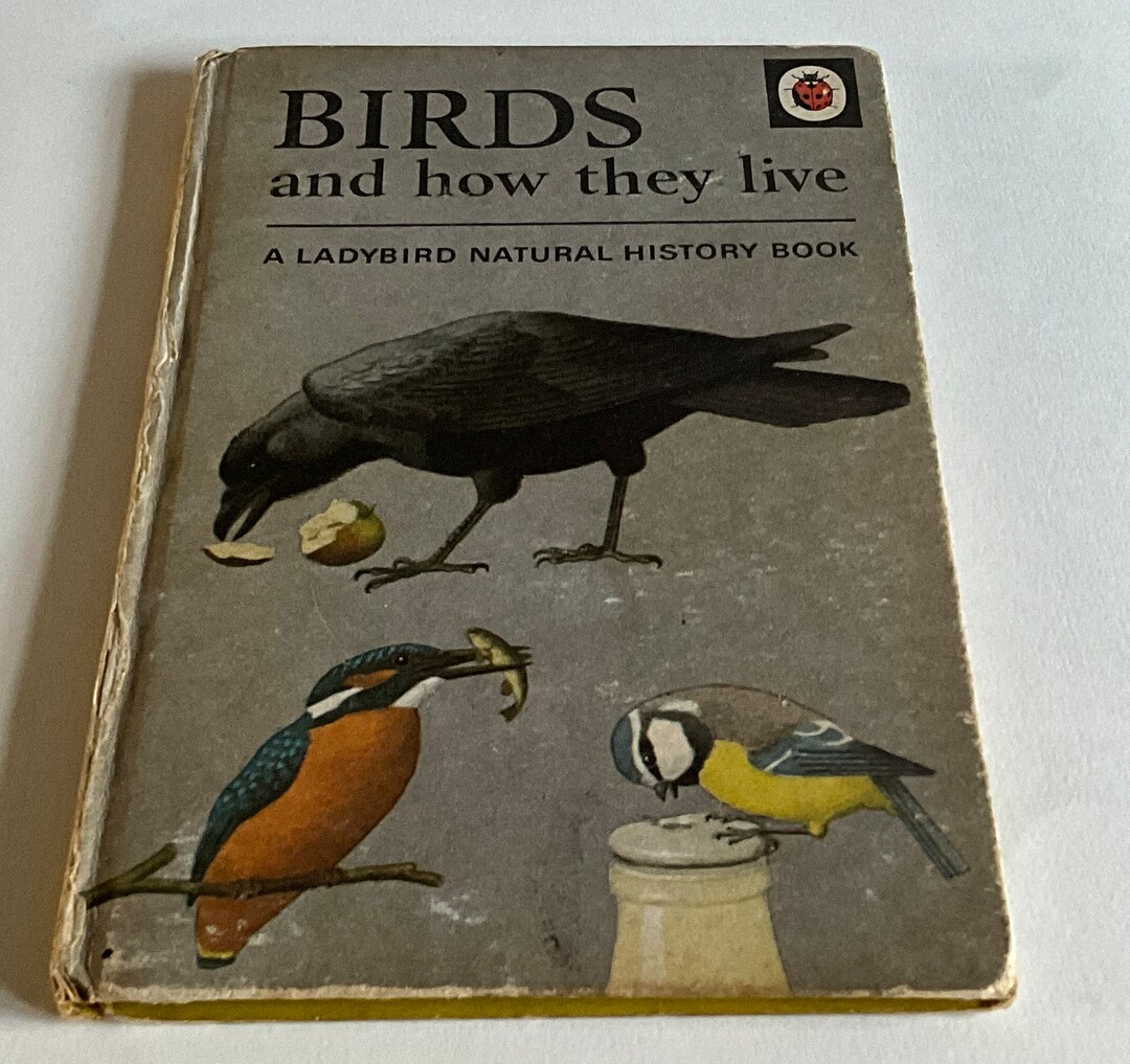 Birds and How They Live A Ladybird Natural History Book - Etsy