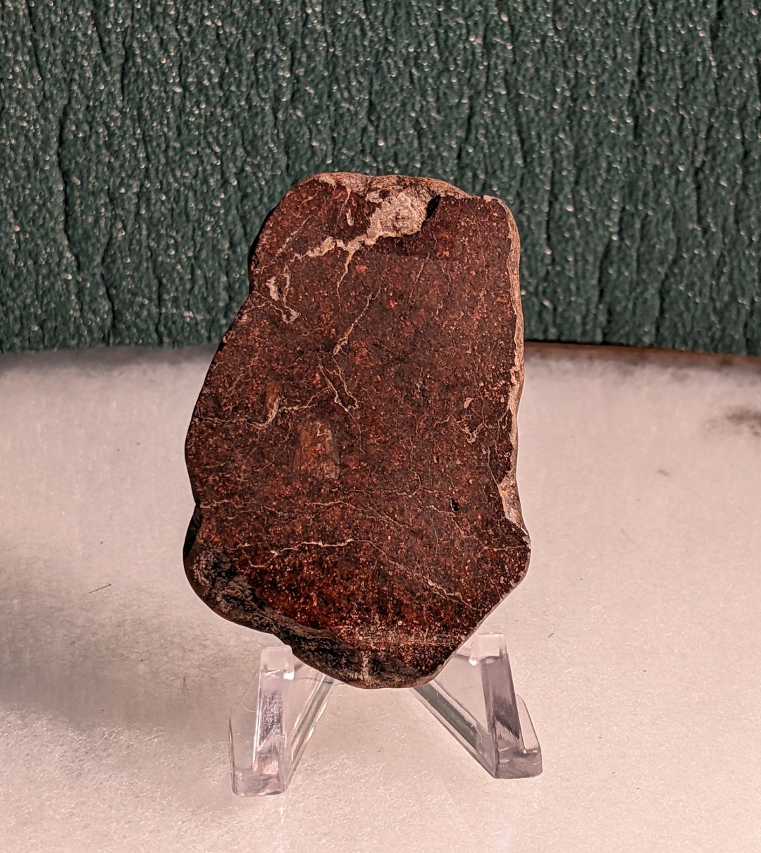 NWA Stone Chondrite L ,complete Slice, 48.42 Grams - Etsy