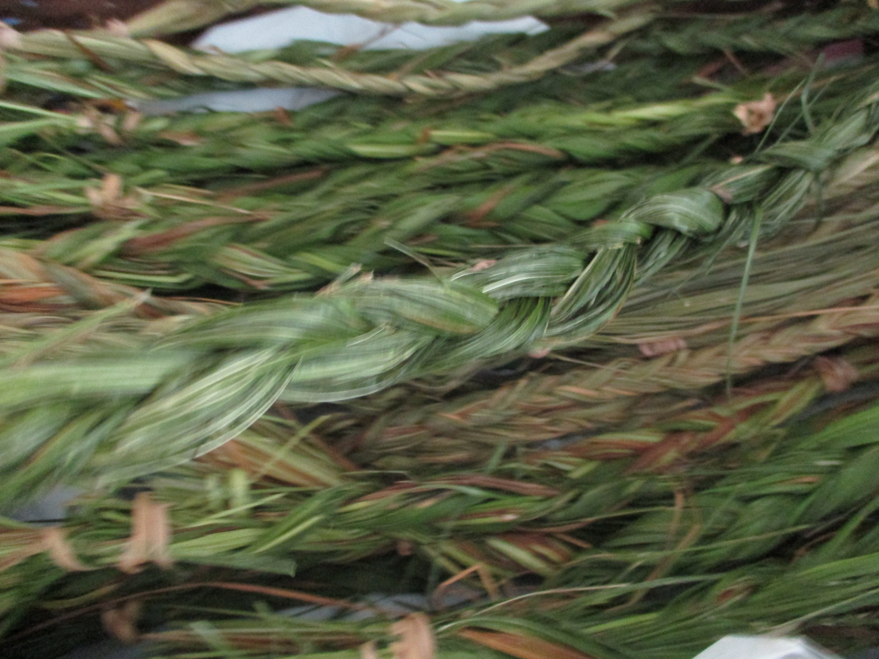 Sweet Grass - Braided From Mother Earth - Etsy