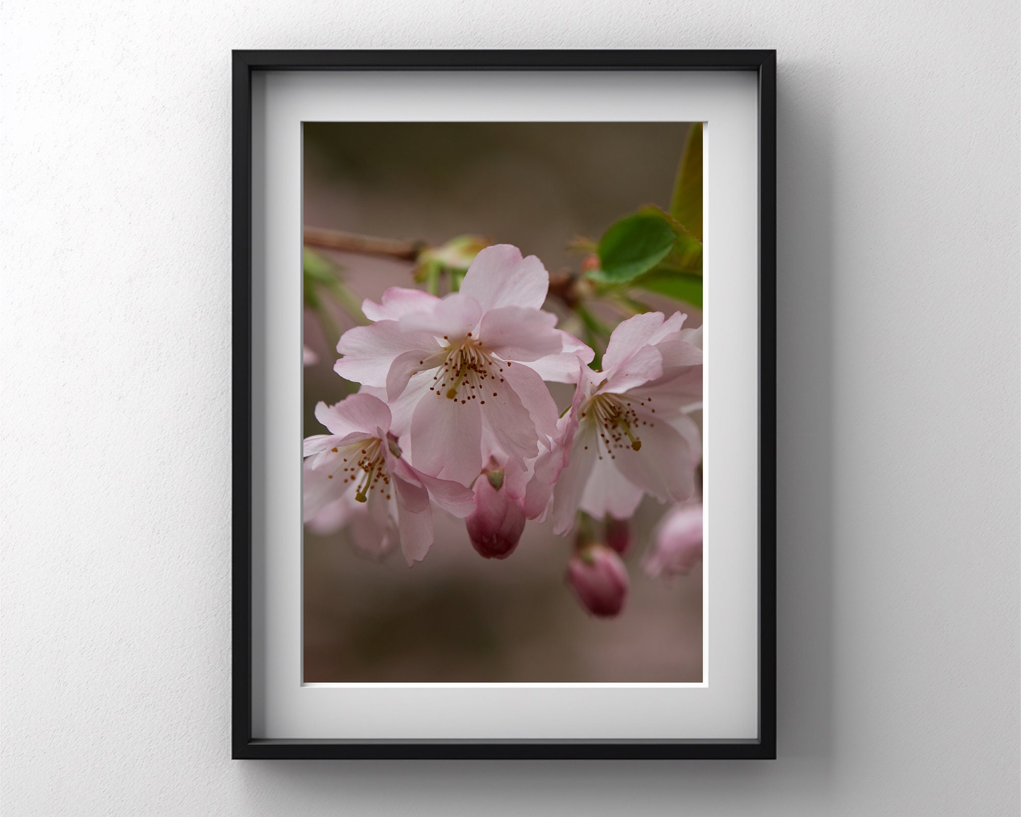 Sakura Branch, Instant Download, Digital Print Art, Printable Art ...