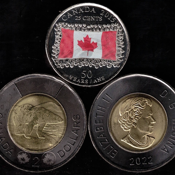 2022 Black Toonie Coin - Etsy