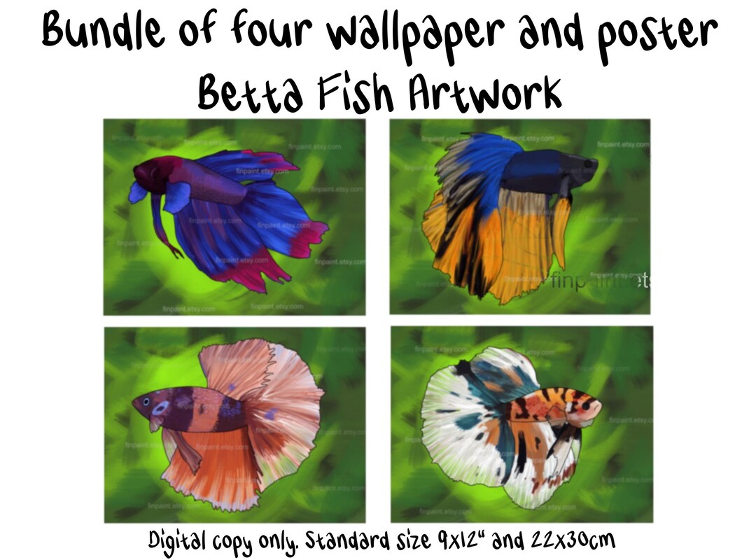 Bundle of Four Completed Digital Betta Fish Posters and Wallpaper ...