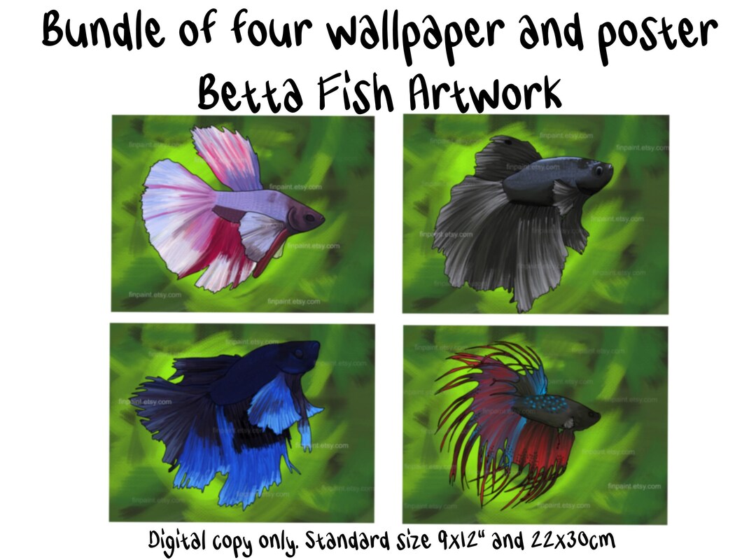 Bundle of Four Completed Digital Betta Fish Posters and Wallpaper ...