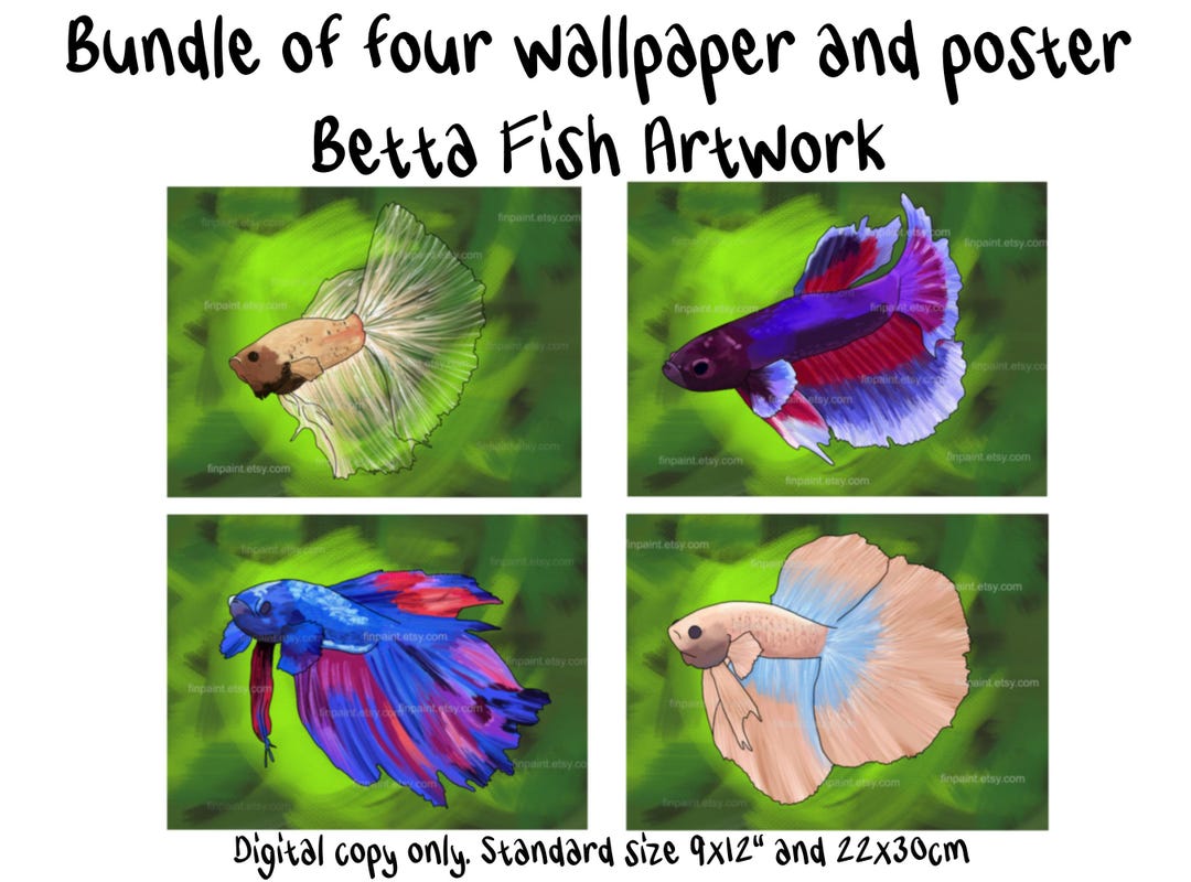 Bundle of Four Completed Digital Betta Fish Posters and Wallpaper ...