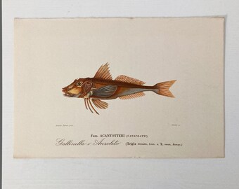 Koi Fish Postcards Set of 4 Printed From My Original Sumi-e - Etsy