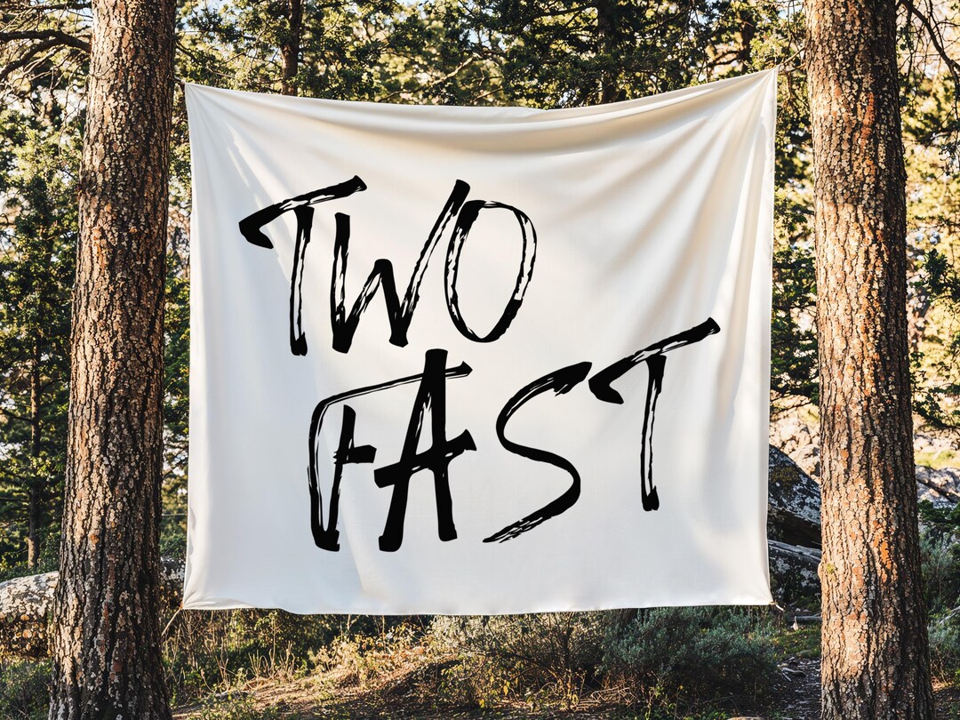 Two Fast Birthday Backdrop | TWO FAST Banner | Race Car 2nd Birthday ...