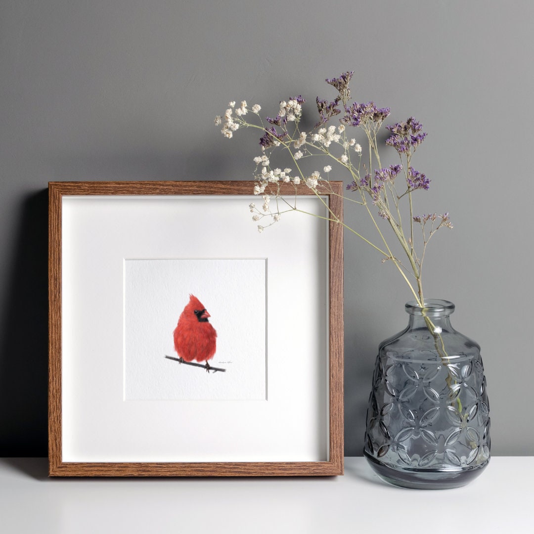 Colored Pencil Red Cardinal Bird Art Print - Etsy