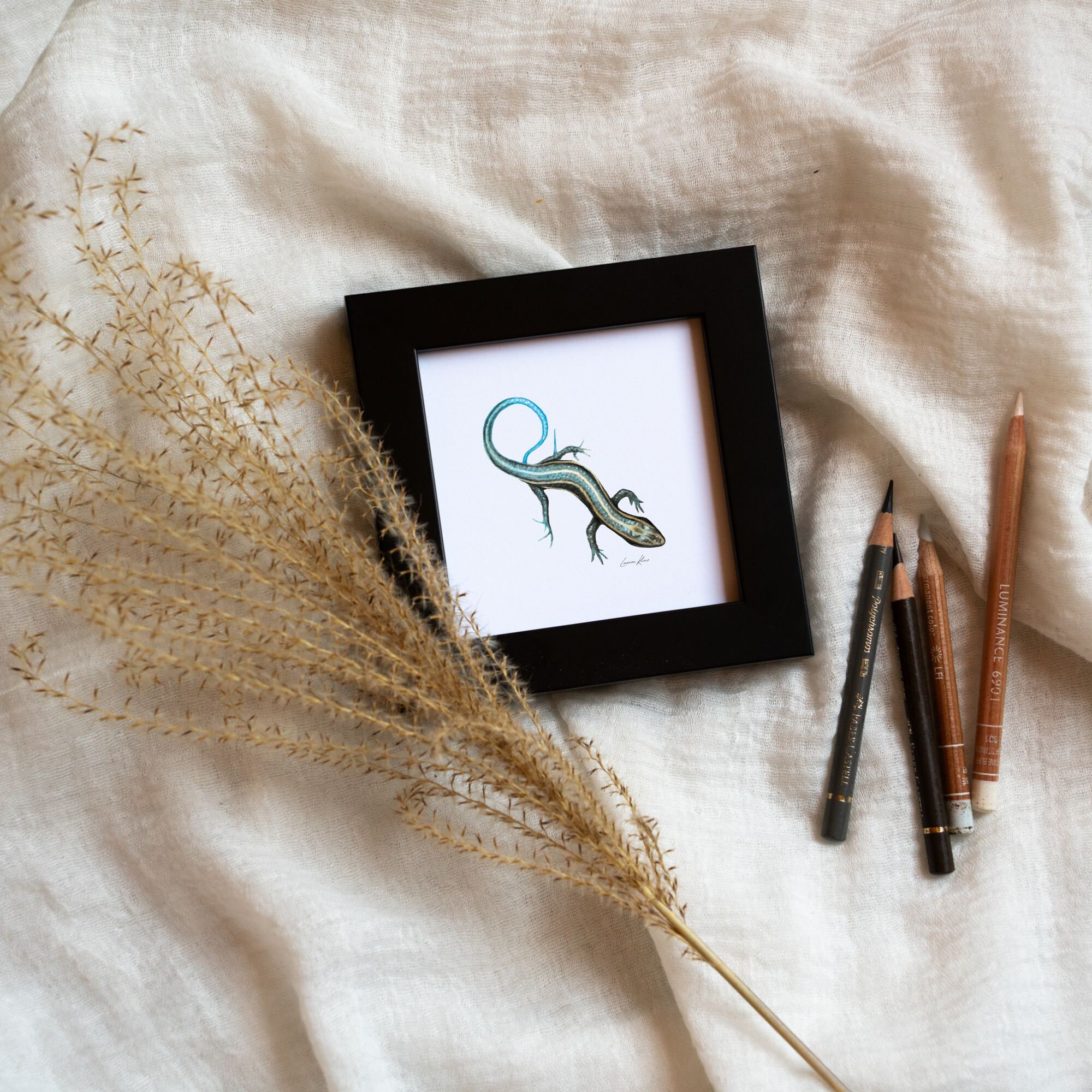 Colored Pencil Blue Tailed Skink Art Print - Etsy