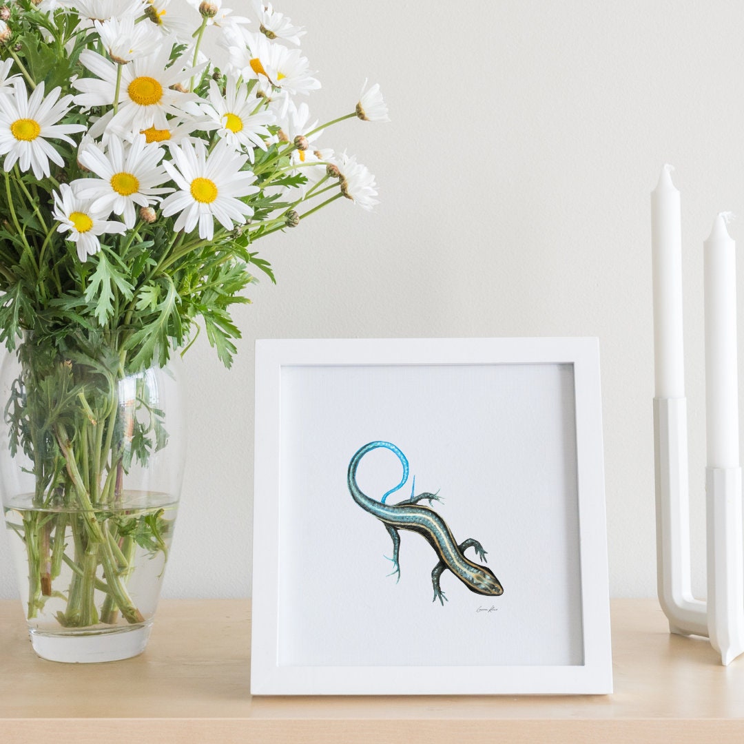 Colored Pencil Blue Tailed Skink Art Print - Etsy