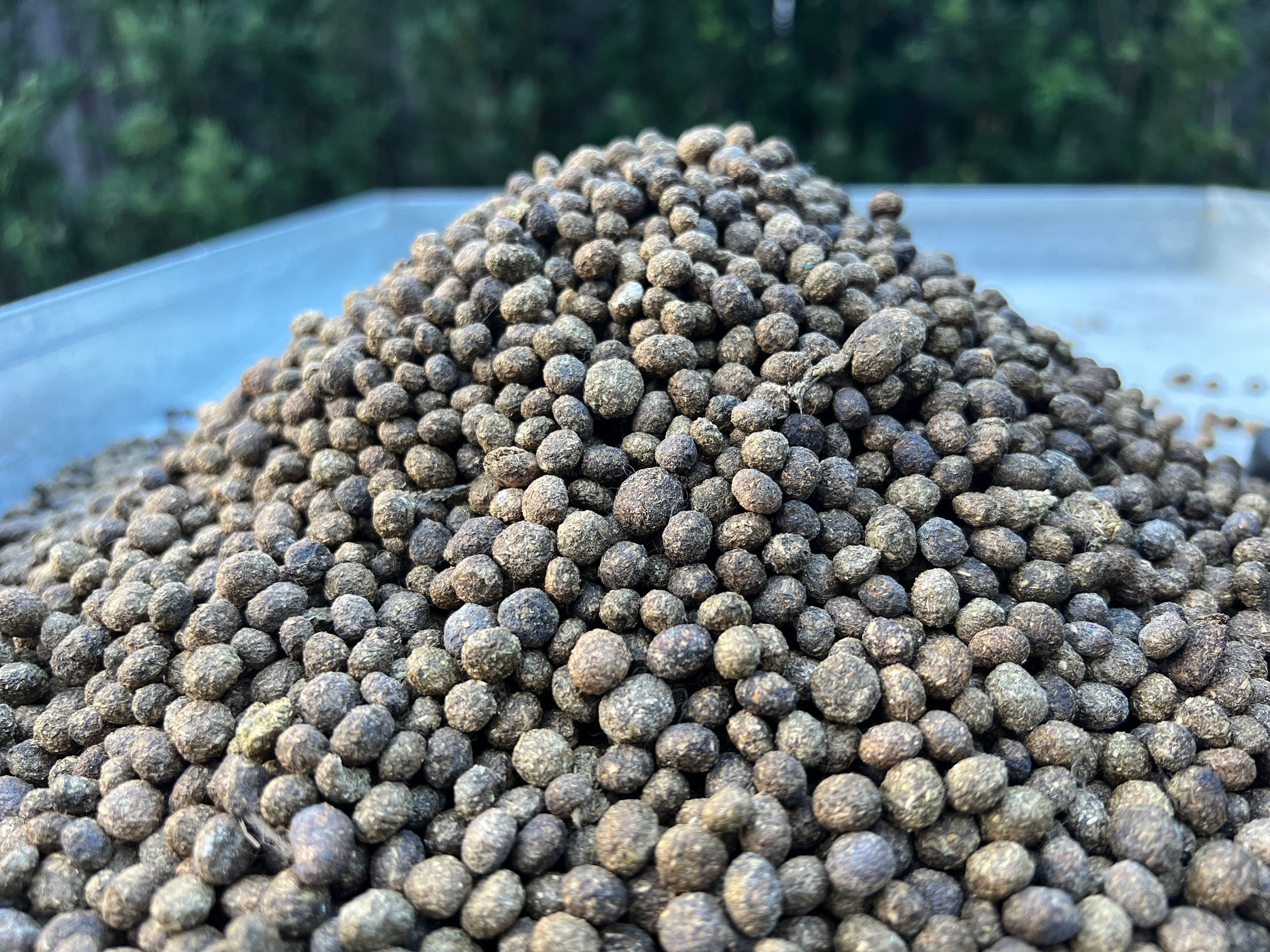 Bunnydoo SELECT - Rabbit Manure Fertilizer - High Quality, Organic - 2 ...