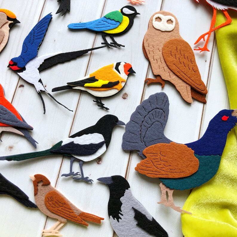 BIRDS Different Species Laser Cut Partsfelt Board - Etsy